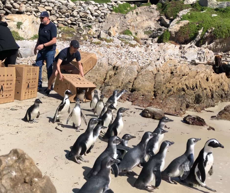 Field Trips – SCBmarine